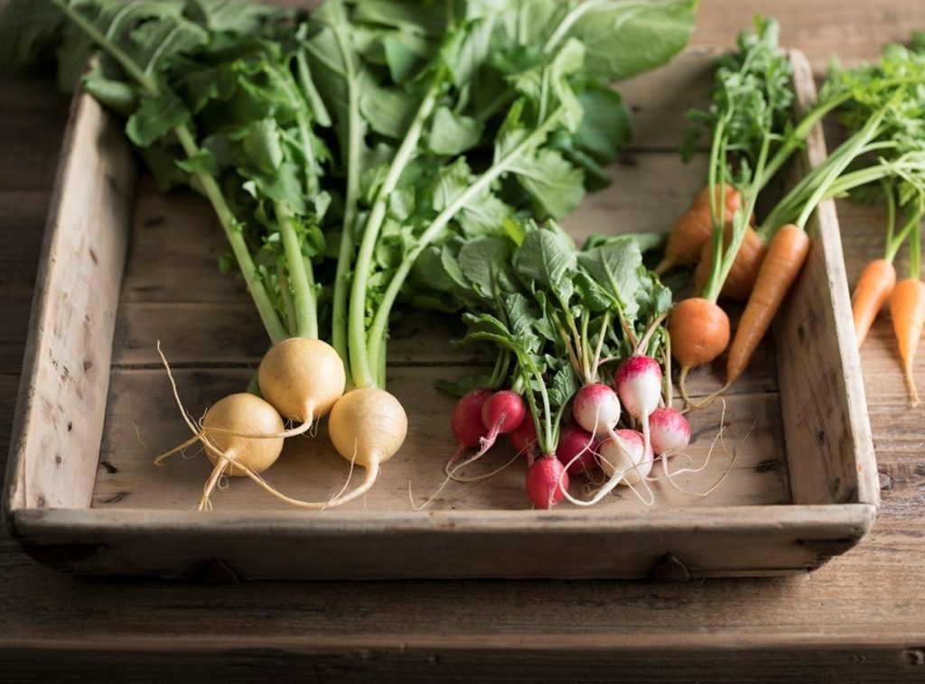 ORGANIC LIFE arcina（オーガニックショップ発） | 〈エディター発〉オーガニック・オンラインサロン